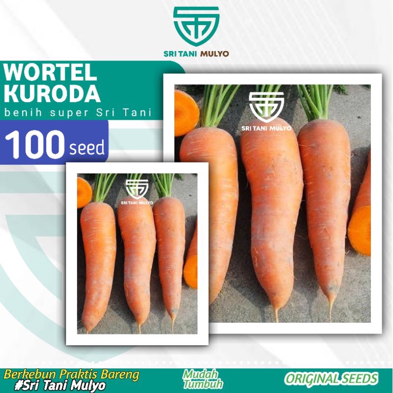 Jual 100 Biji - Benih Wortel Unggul NEW KURODA F1 - Bibit Sayuran Benih ...