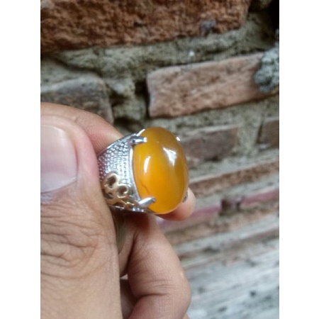 Jual Batu Rafflesia Kuning | Shopee Indonesia