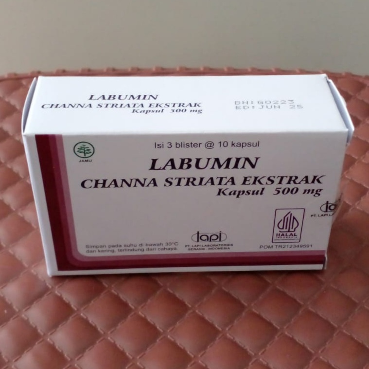 Jual Labumin 500 Mg (1 Box = 3 Strip = 30 pcs) | Shopee Indonesia