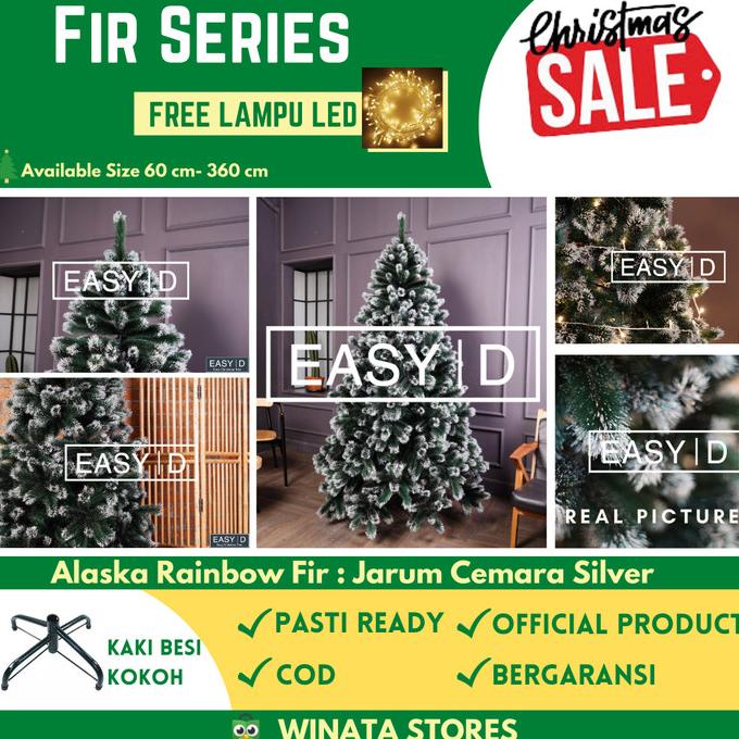 Jual Pohon Natal Tipe Alaska Rainbow Fir Pine Tree Ukuran 120Cm Terbaik ...