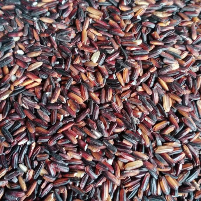 Jual Beras Hitam Organik Beras Diet 5Kg | Shopee Indonesia