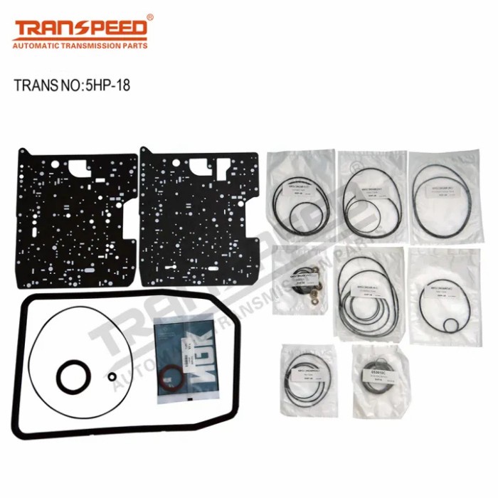Jual Packing Seal Set Matic Bmw E32 E34 E36 E38 E39 Audi 5Speed 5Hp18 ...