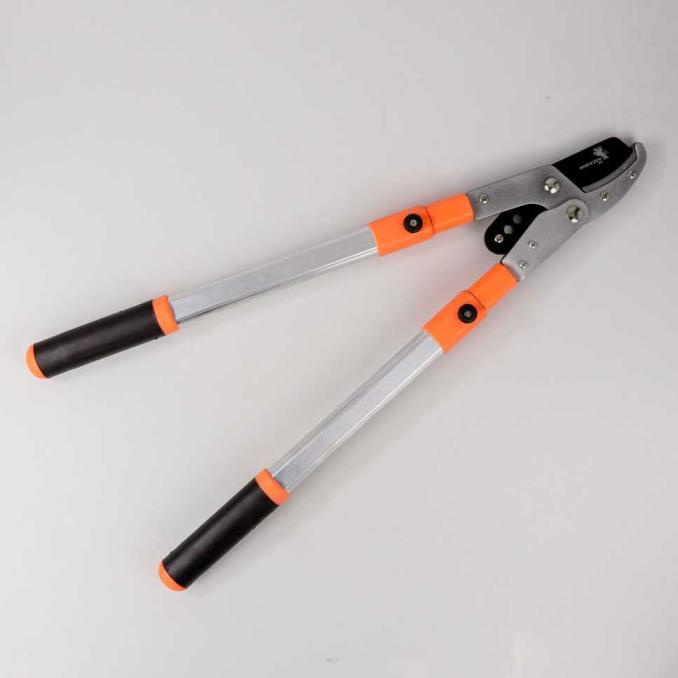 Jual Gunting Taman Gagang Panjang Potong Ranting Dahan Pohon Tanaman ...