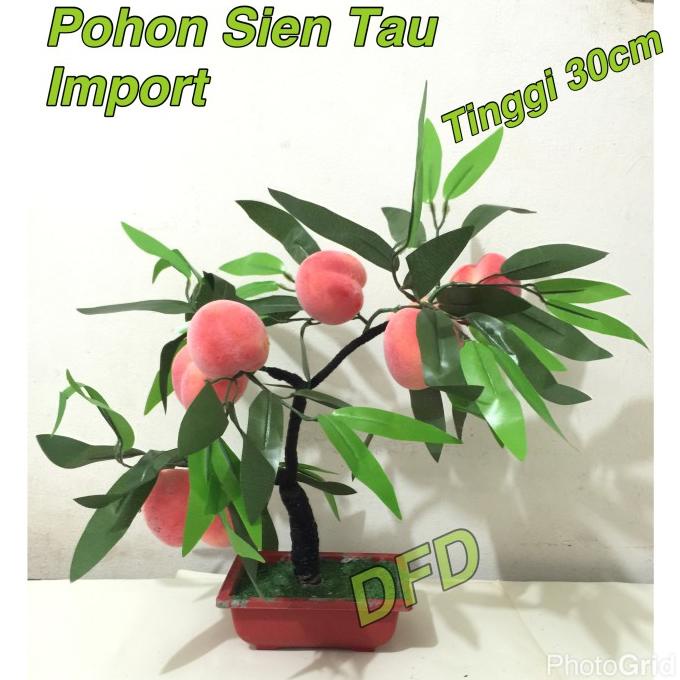 Jual New Pohon Sien Tau Import Artificial 30 Cm / Pohon Angpao / Pohon ...