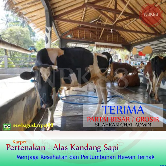 Jual Karpet Karet Alas Kandang Sapi (120 X 190 Cm) | Shopee Indonesia