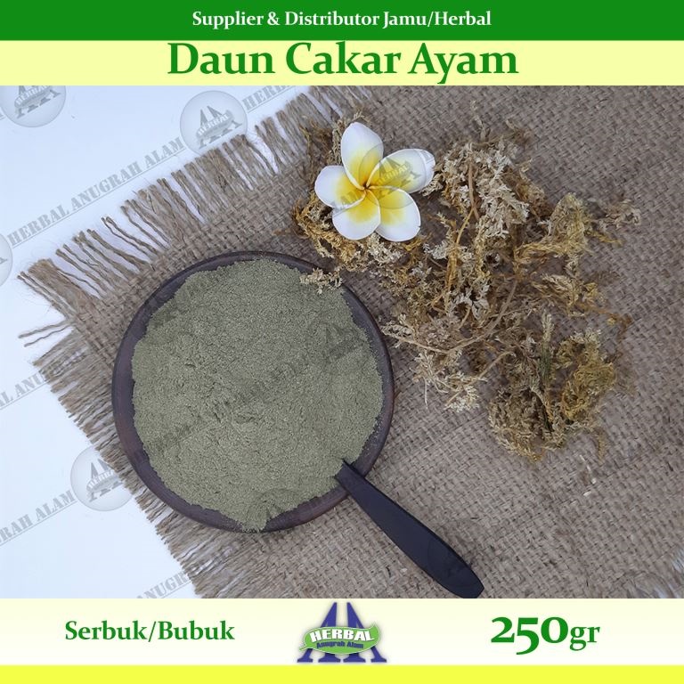 Jual Daun Cakar Ayam (Bubuk) 250Gr | Selaginella deoderleinii hieron ...
