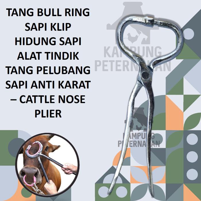 Jual Tang Bull Ring Sapi Klip Hidung Sapi Alat Tindik Pelubang Hidung ...