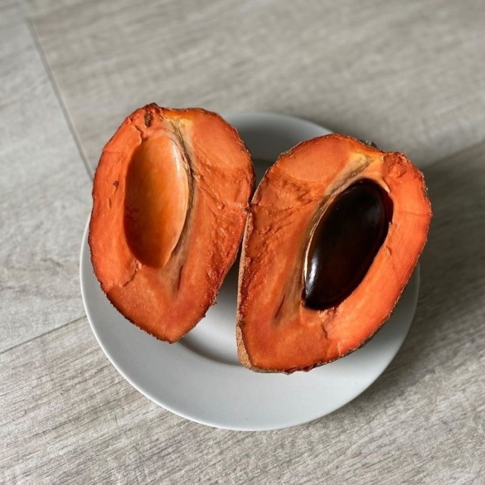 Jual MMMM Taama Buah Mamey Sapote Magaa / bibit sawo jumbo ore merah ...
