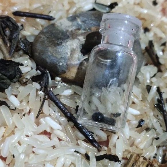 Jual Batu mustika buto ireng sir alam asli temuan sepuh kuno antik ...