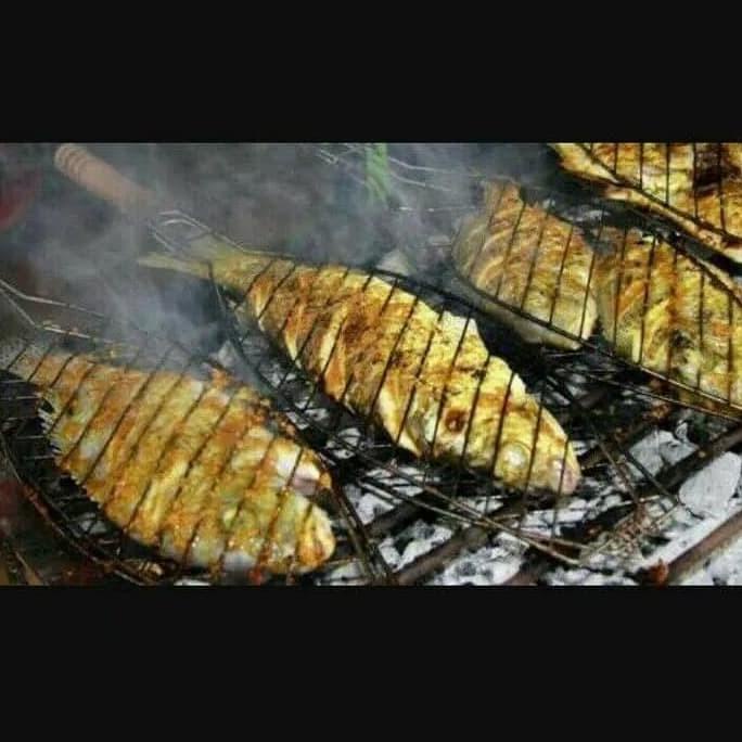 Jual BBQ Griller/Barbeque Grill Ikan/Alat Bakaran Ikan/Panggangan Ikan ...