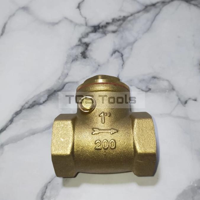 Jual HARGA DISC - Check Valve 1 inch - Klep Tabok - SWING CHECK VALVE ...