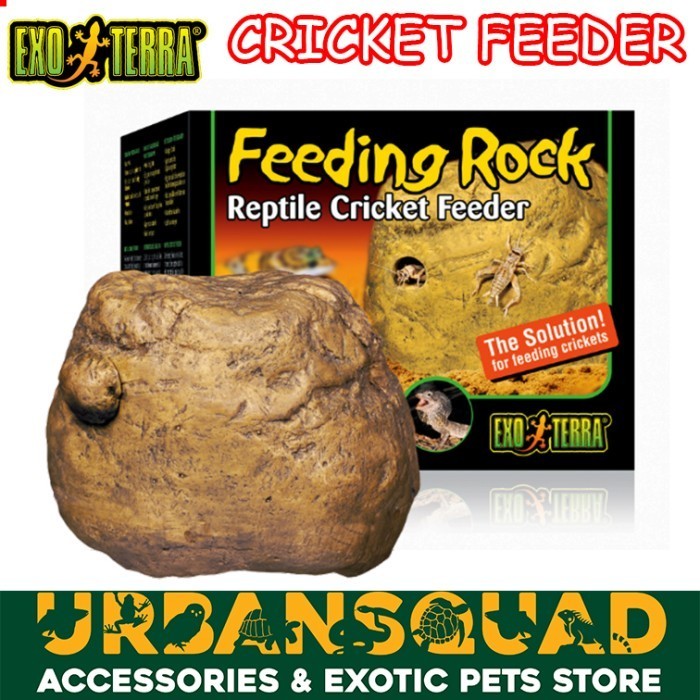 Jual EXOTERRA FEEDING ROCK CRICKET FEEDER TEMPAT JANGKRIK MAKANAN ...