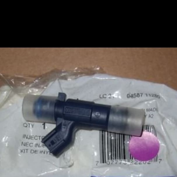 Jual Injector Captiva Bensin NFL original GM 96487563 | Shopee Indonesia