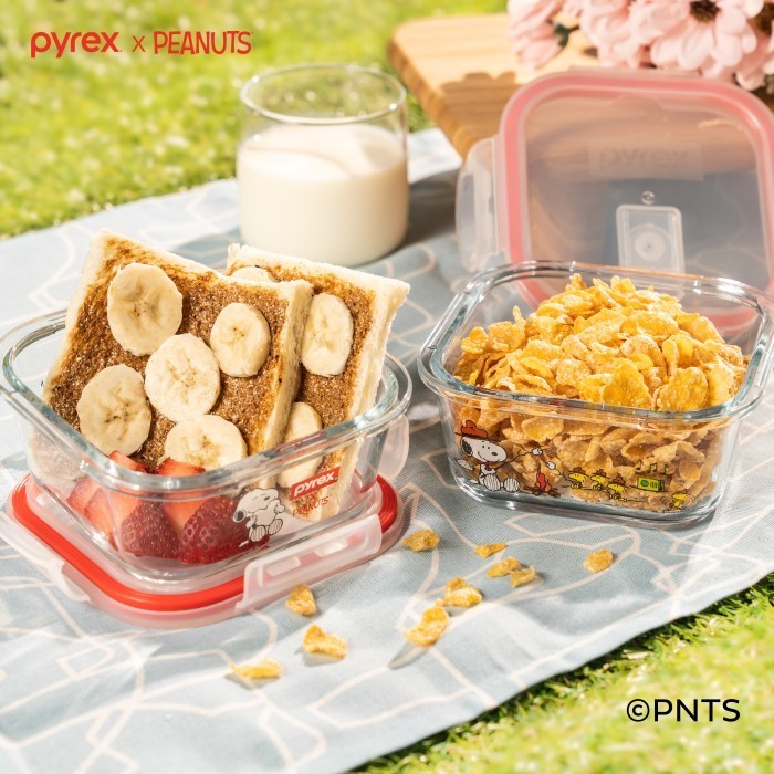 Jual Pyrex Snoopy Food Container / Kotak Makan Kaca | Shopee Indonesia