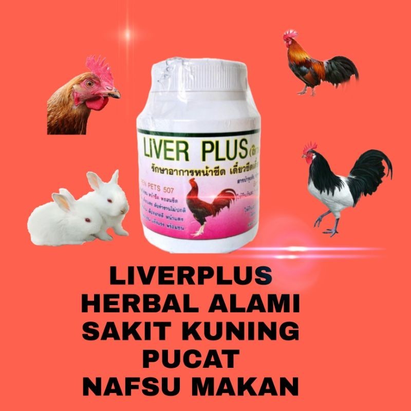 Jual 1 botol liver plus max liver ayam obat ayam sakit kuning pucat ...