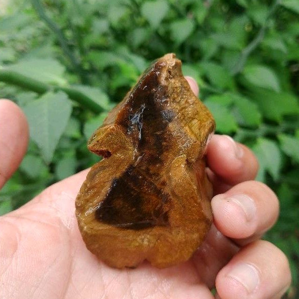 Jual Bongkahan batu kayu (Petrified Wood) unik antik stok sesuai gambar ...