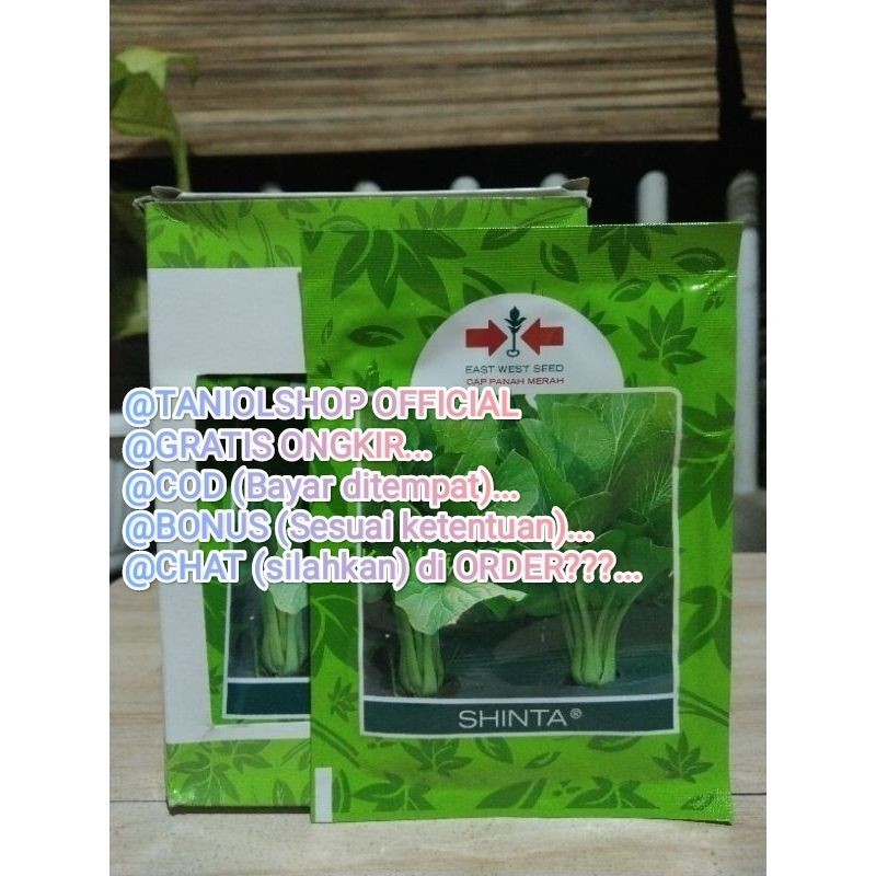 Jual Benih Bibit Caisim Sawi Shinta F1 ISI 2.000 BIJI (Daun Lebar hijau berbobot) Kadaluarsa ...