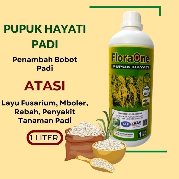 Jual Pupuk Padi Cair Penyubur Atasi Asam Asaman Daun, Pupuk Padi Yang Bagus | Shopee Indonesia