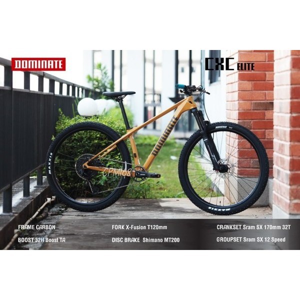 Jual Sepeda Gunung Dominate Cxc Elite Carbon 12 Speed Sram Hydraulic Mtb 29 Inch | Shopee Indonesia
