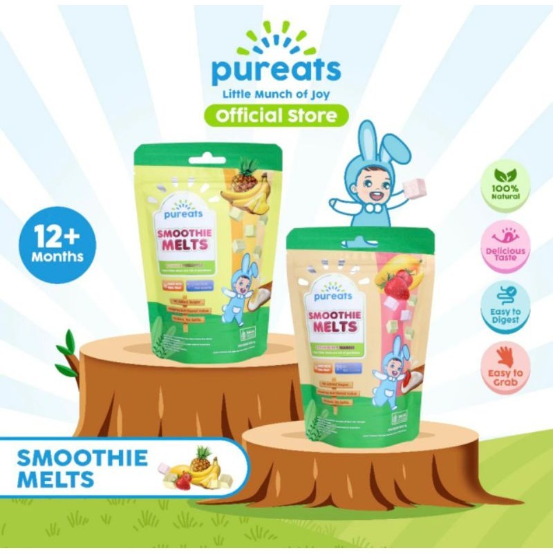 Jual Pureats Smoothie Melts | Snack Yogurt Buah Camilan Bayi | Shopee ...