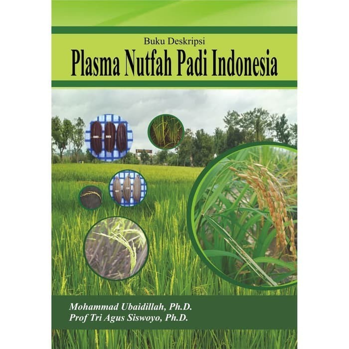Jual Buku Deskripsi Plasma Nutfah Padi Indonesia | Shopee Indonesia