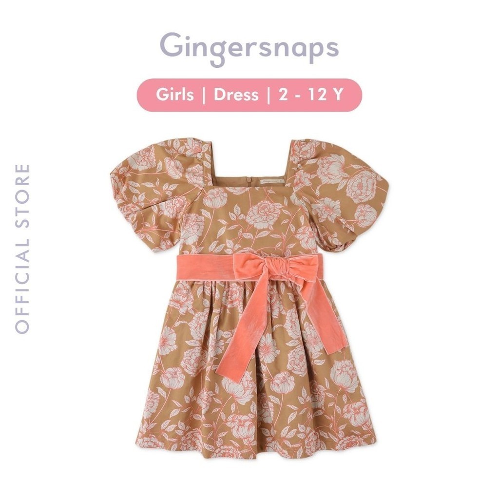 Jual Gingersnaps Sunset Soiree Dress Brown - Dress Anak Perempuan ...