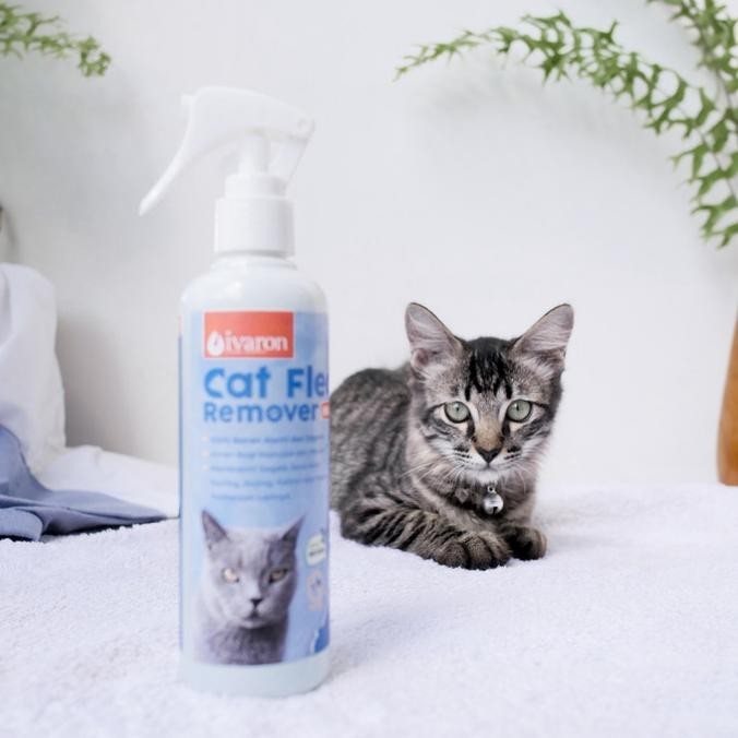 Jual Cat Flea Remover Obat Anti Kutu Kucing & Hewan Peliharaan 1000 Ml ...
