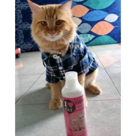 Jual I LOVE CAT CONDITIONER KUCING CAT CONDITIONER MELEMBUTKAN MELEBATKAN BULU EXTRA RICH ...
