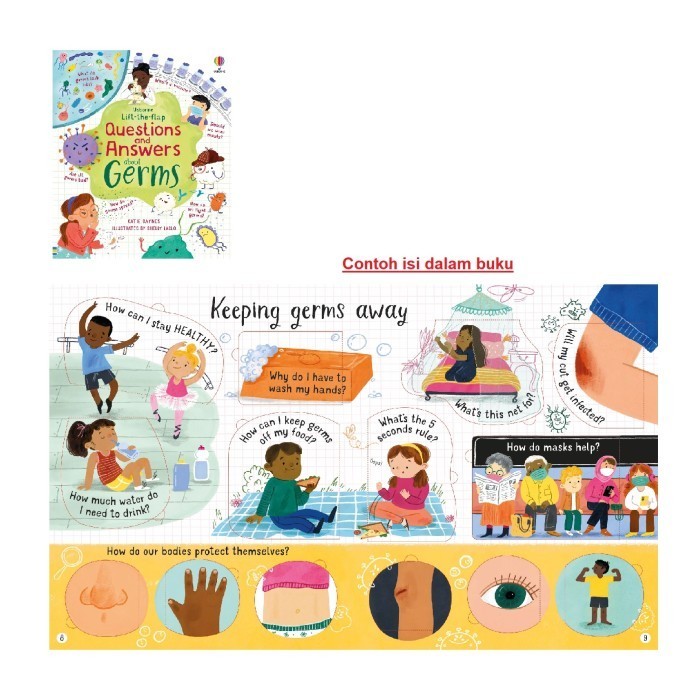 Jual Usborne Germ Lift Flap Book See Inside Question Answer Stem What ...