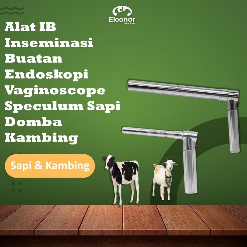 Jual Alat IB Inseminasi Buatan Endoskopi Vaginoscope Speculum Sapi ...