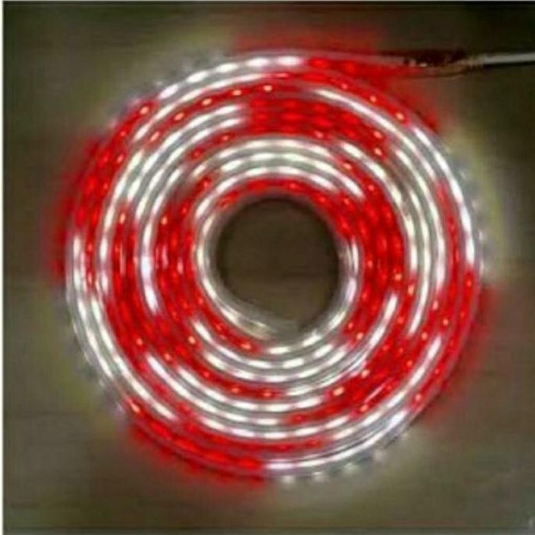 Jual New Lampu Led Hujan Meteor Rgb / Merah Putih / Warna Warni / Lampu ...