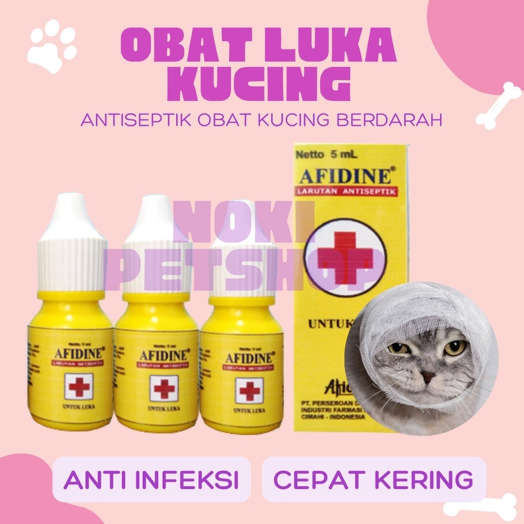 Jual [GROSIR] ANTISEPTIK OBAT LUKA KUCING ANJING KELINCI ANTI INFEKSI ...