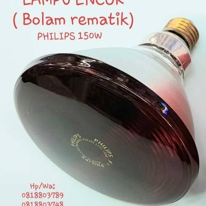 Jual Bolam Encok / Lampu Rematik /Lampu Infraphil Philips 150W | Shopee ...