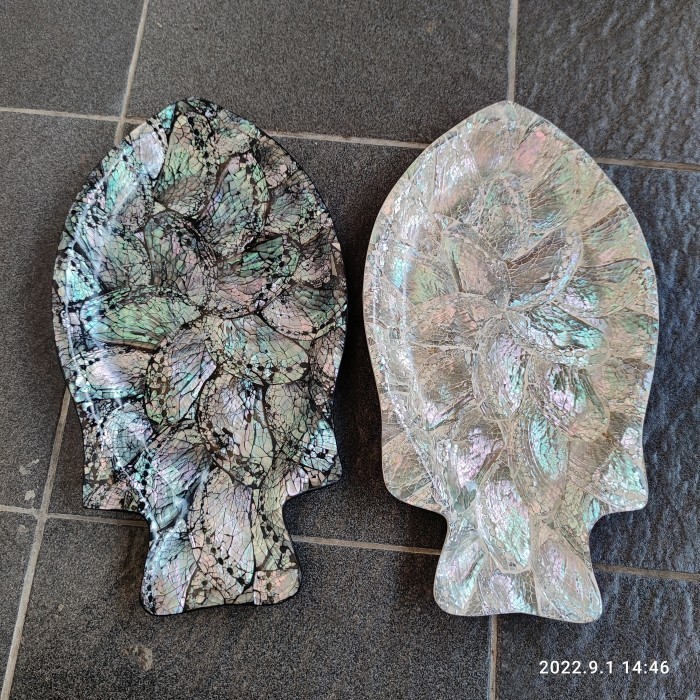 Jual fish plate shell abalone SEMBILAN | Shopee Indonesia