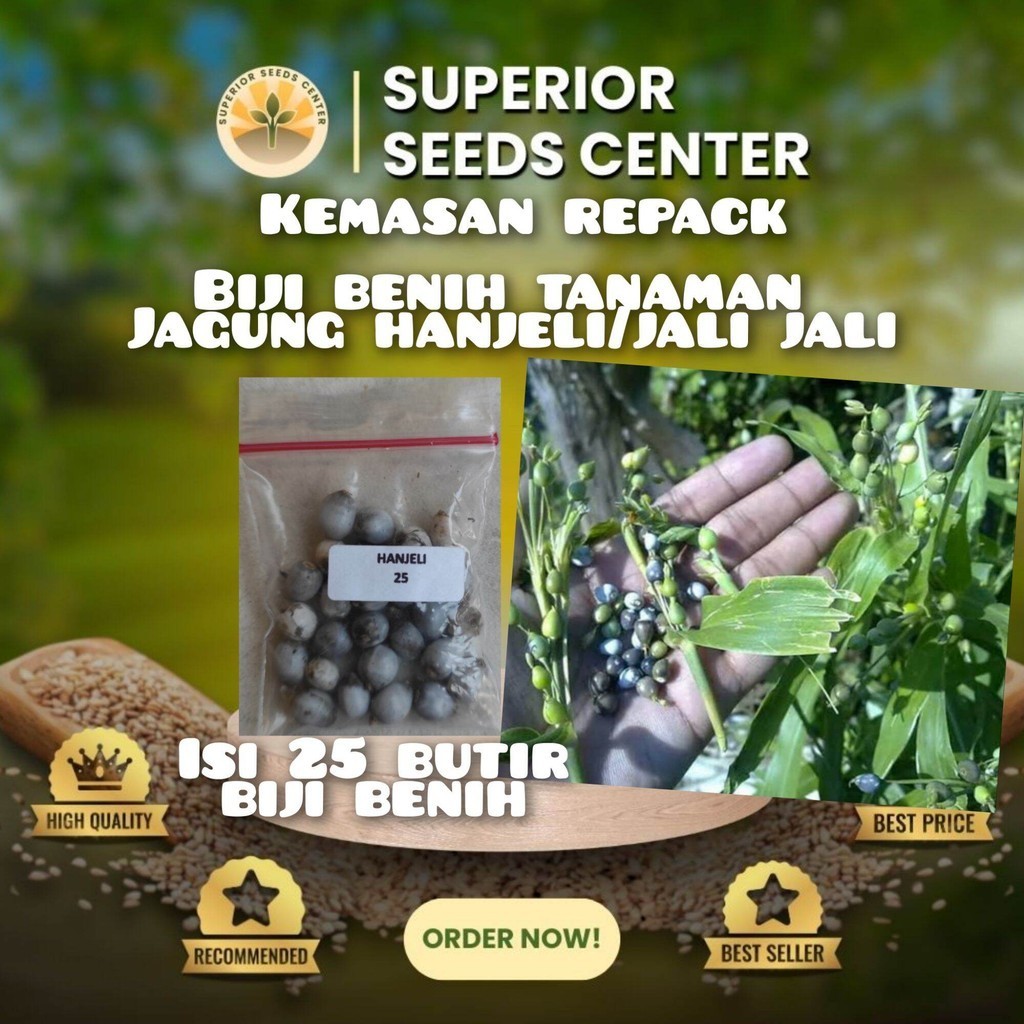 Jual kemasan repack plastik klip 25 butir biji benih tanaman jagung ...