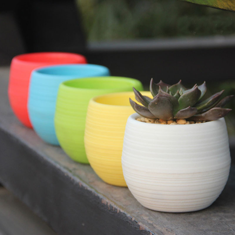 Jual Mini Pot Bunga Hias Kaktus Tanaman - 5pcs | Shopee Indonesia