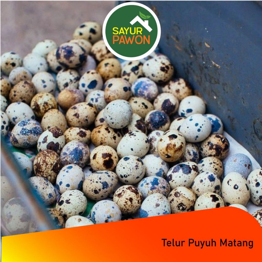 Jual TELUR PUYUH MATANG per 10 butir - Sayur Pawon Jogja | Shopee Indonesia