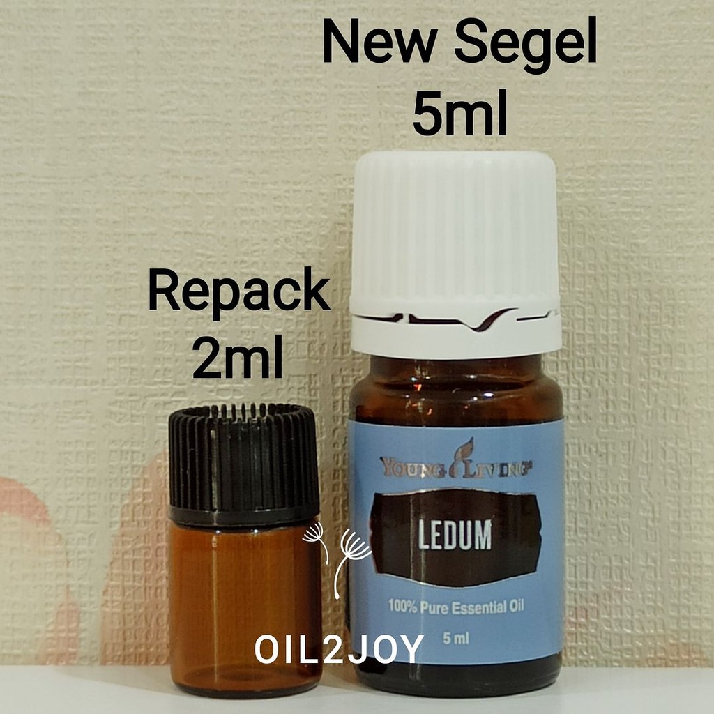Jual Ledum New 5ml Roll On Repack 2ml Dilute 10ml YL YLEO Essential Oil ...