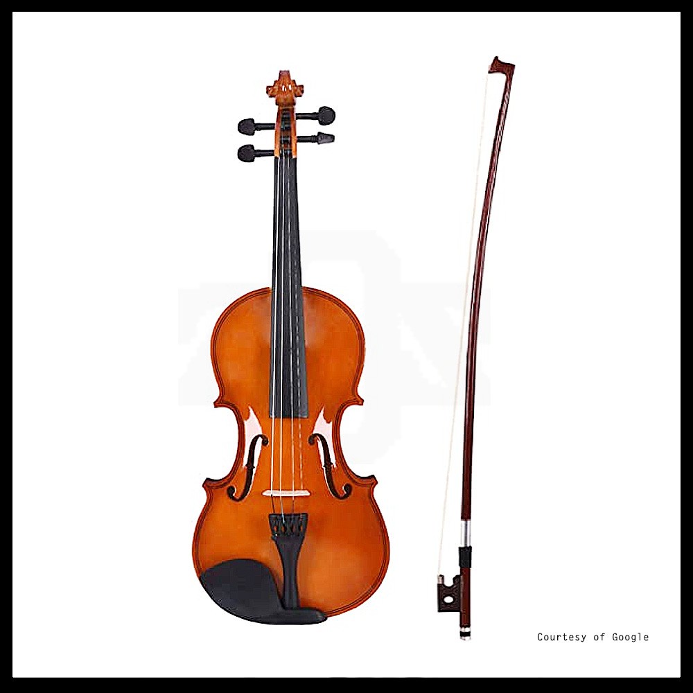 Jual Biola Violin Viola Akustik Paladin 4/4 + Case Bow Rosin Bridge Set ...