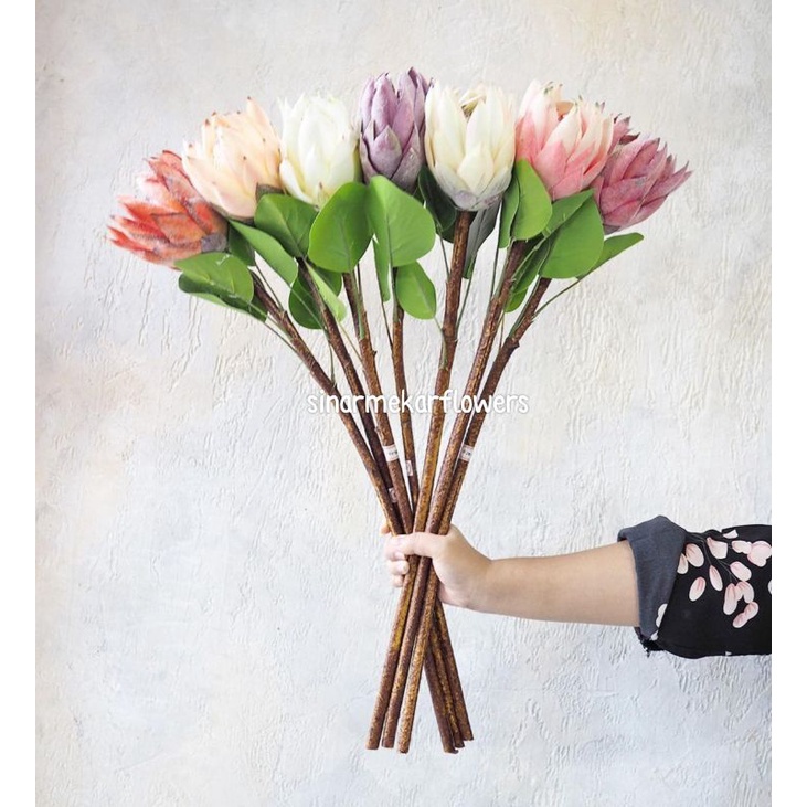 Jual Bunga Artificial/Bunga Protea (1Tangkai) | Shopee Indonesia
