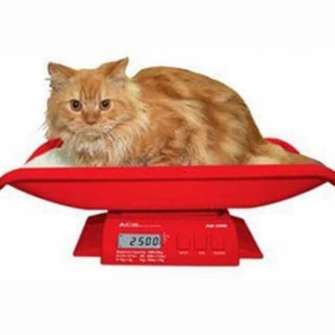 Jual Timbangan Hewan Digital Timbangan Hewan Acis Ab-30k Pet Scale ...