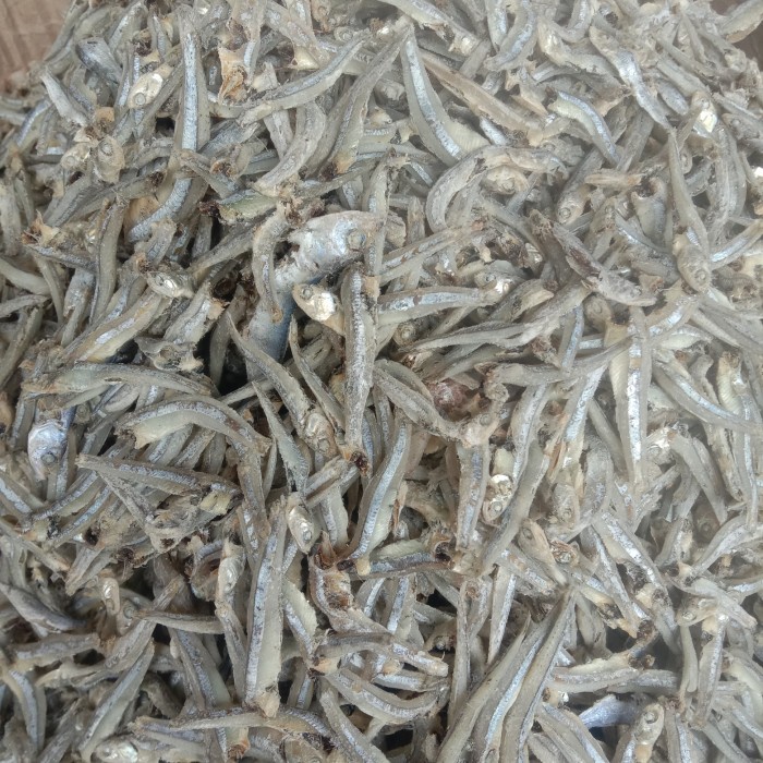 Jual ikan asin bontio Lampung 1kg | Shopee Indonesia