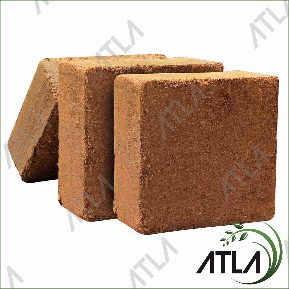 Jual FLASH SALE COCOPEAT BLOCK SABUT KELAPA HALUS MEDIA TANAM ...