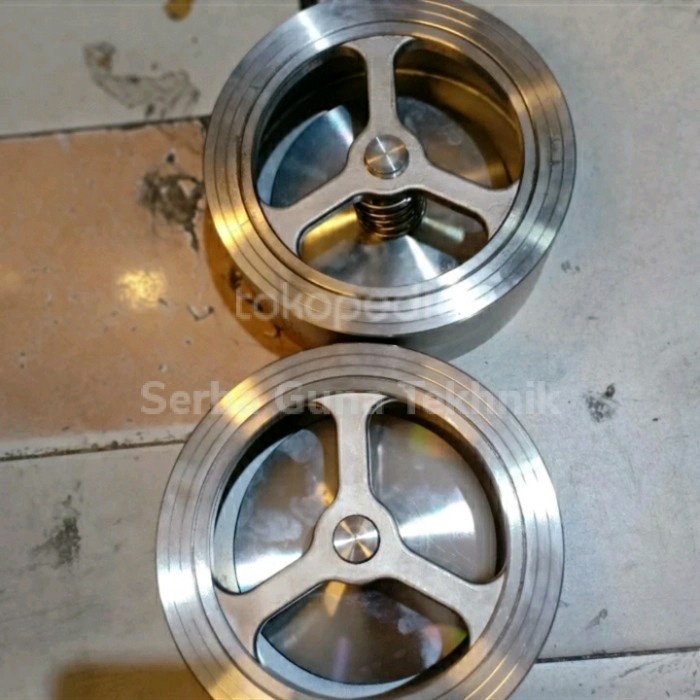 Jual Disco Check Valve 5 Inch Dn 125 Pn40 Full Stainless Ss316 Chek ...