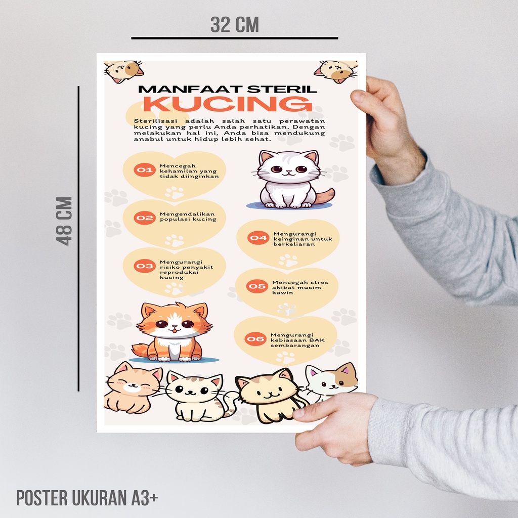 Jual Poster Edukasi Tentang Hewan Kucing - Ukuran A3plus | Shopee Indonesia