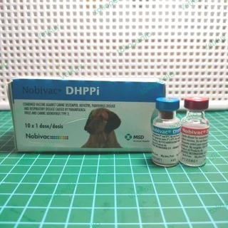 Jual Vaksin Anjing Terlengkap & Harga Terbaru April 2024 | Shopee Indonesia