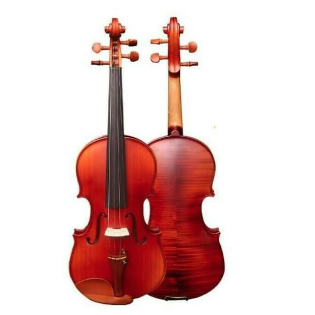 Jual Biola violin merk dreamwood model corak tiger 4/4 3/4 1/2 ...