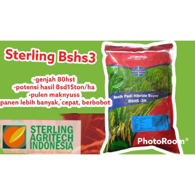 Jual New Sterling benih padi hibrida padiku BSHS3 /BS3 1kg | Shopee ...