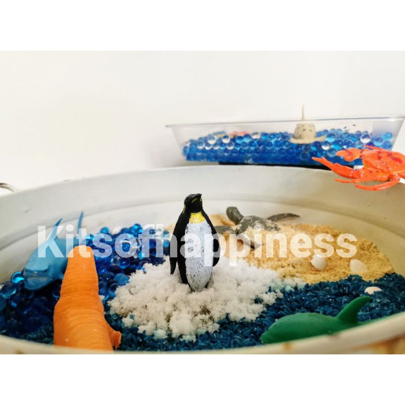 Jual SENSORY RICE OCEAN THEME / SENSORY PLAY ANIMAL SEA POLAR BEAR ...
