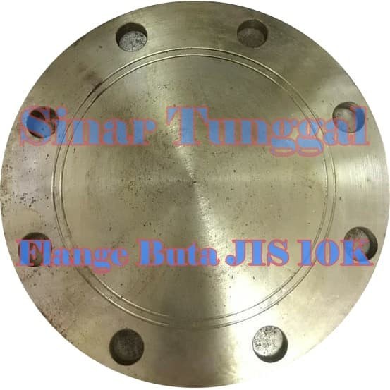 Jual [New] Flange Buta / Blind Flange Jis 10K 8 Inch Dn200 Ns Besi ...